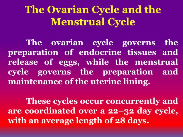 Hormonal Control Of Reproduction In A Mammal Ppt 1133