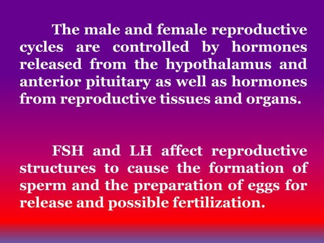 Hormonal control of reproduction in a mammal | PPT
