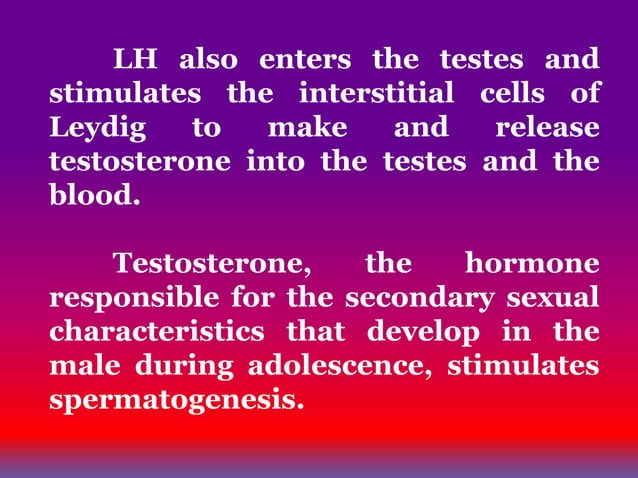 Hormonal Control Of Reproduction In A Mammal Ppt 1223