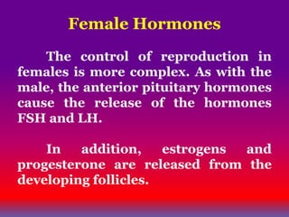 Hormonal control of reproduction in a mammal | PPT