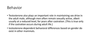 HORMONAL CONTROL IN MALE Reproductive Function | PPTX