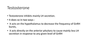 HORMONAL CONTROL IN MALE Reproductive Function | PPTX