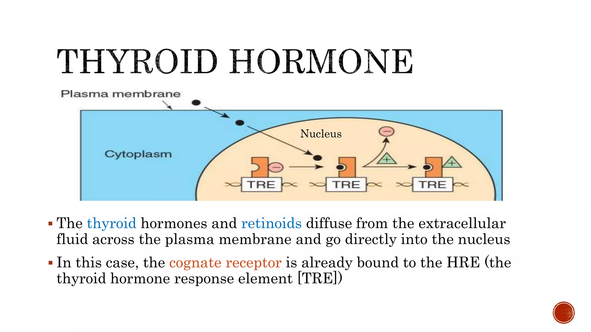 Hormonal control in transcription | PPTX