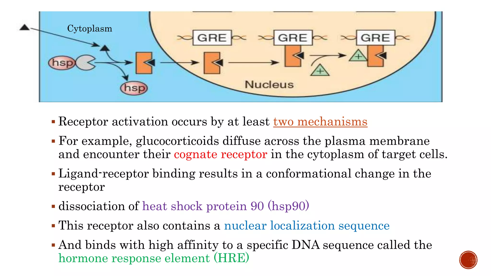 Hormonal control in transcription | PPTX