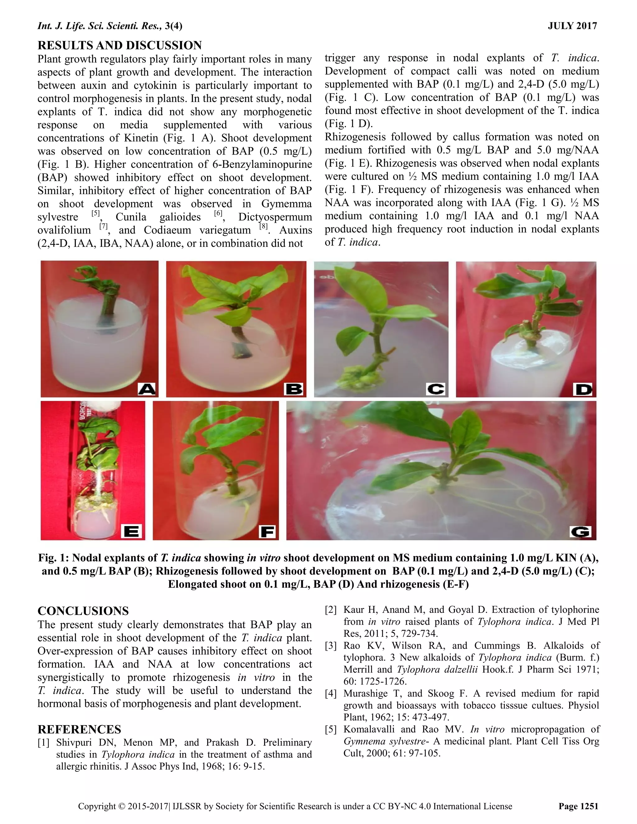 Hormonal control of morphogenesis in vitro in nodal segments of ...