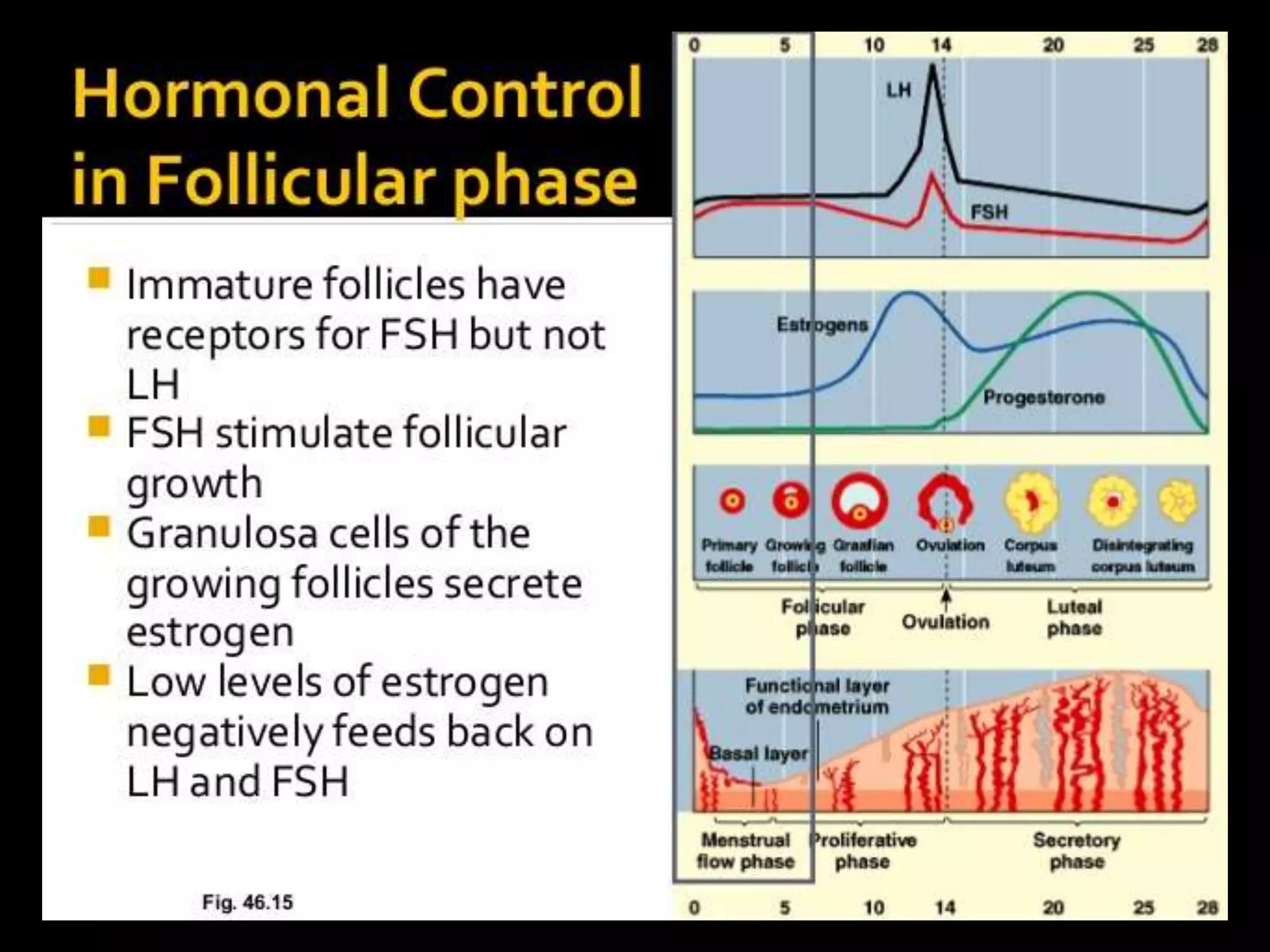 Hormonal control of reproduction cycle | PPT