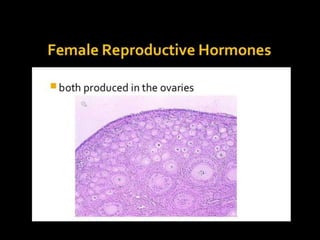 Hormonal control of reproduction cycle | PPT