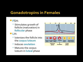 Hormonal control of reproduction cycle | PPT