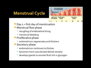 Hormonal control of reproduction cycle | PPT