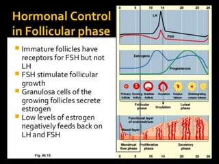 Hormonal control of reproduction cycle | PPTX