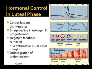 Hormonal control of reproduction cycle | PPT