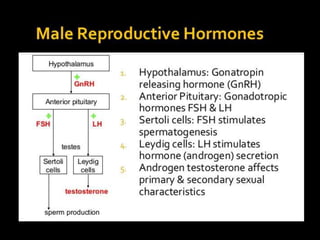 Hormonal control of reproduction cycle | PPT
