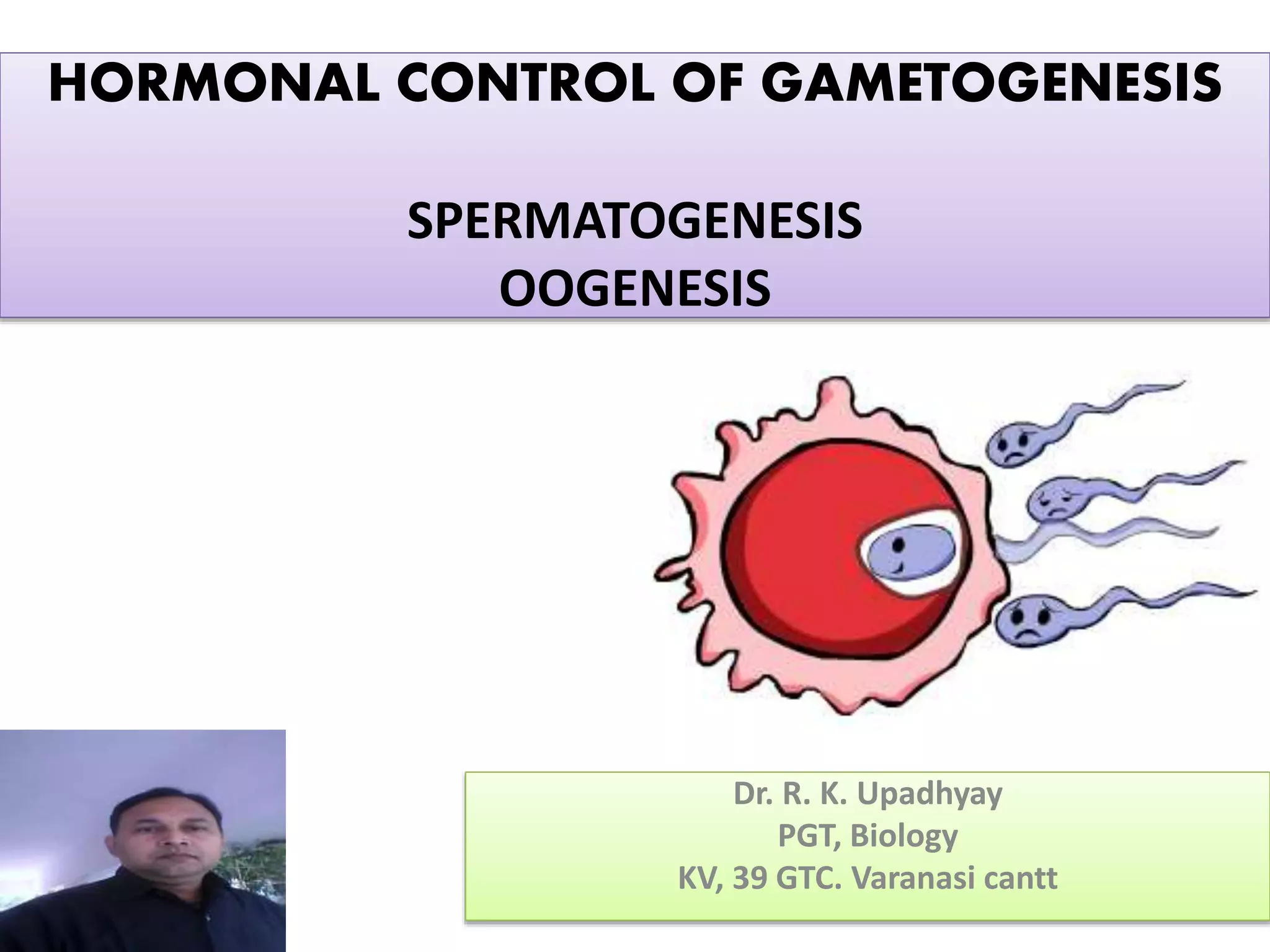HORMONAL CONTROL OF GAMETOGENESIS SPERMATOGENESIS OOGENESIS | PPTX