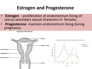 HORMONAL CONTROL OF GAMETOGENESIS SPERMATOGENESIS OOGENESIS | PPTX