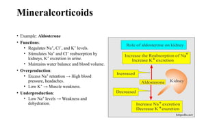 Hormonal Coordination in Animals (Endocrine system) | PPTX