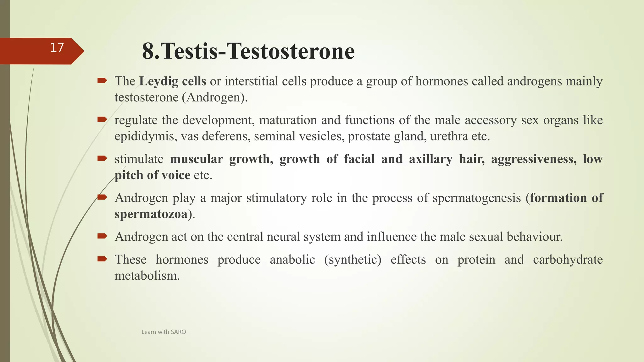 Hormonal cordination in animals | PPTX