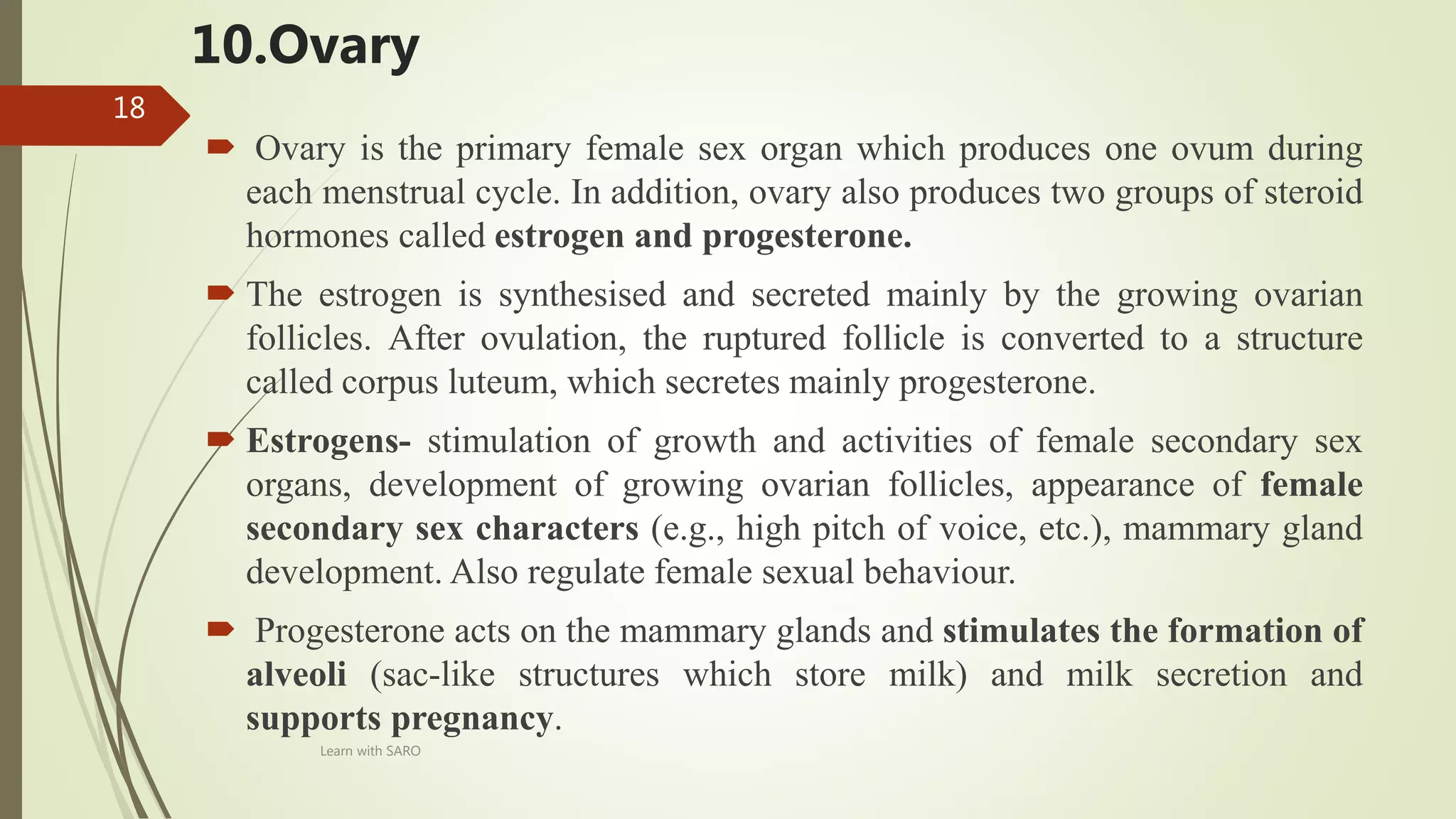 Hormonal cordination in animals | PPTX