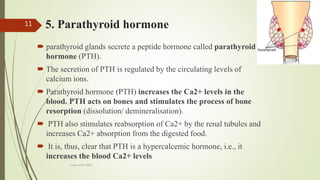 Hormonal cordination in animals | PPTX