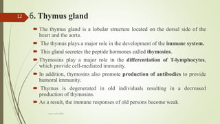 Hormonal cordination in animals | PPTX