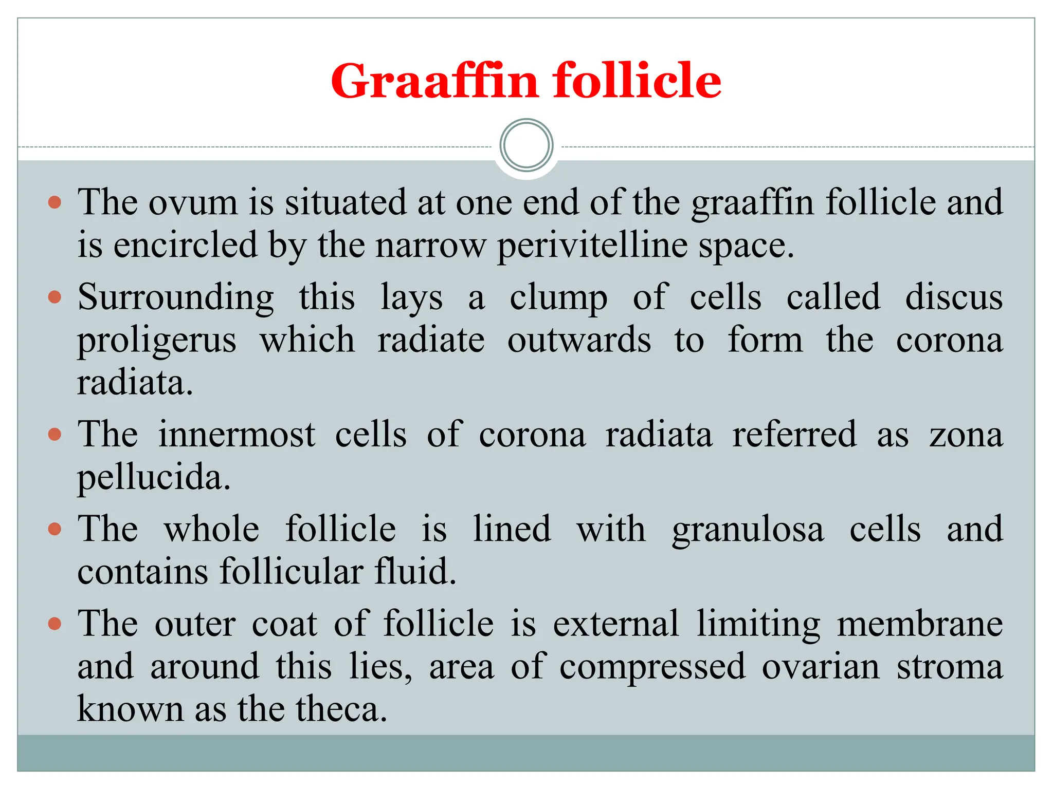 hormonal cycle and fetal circulation.pptx
