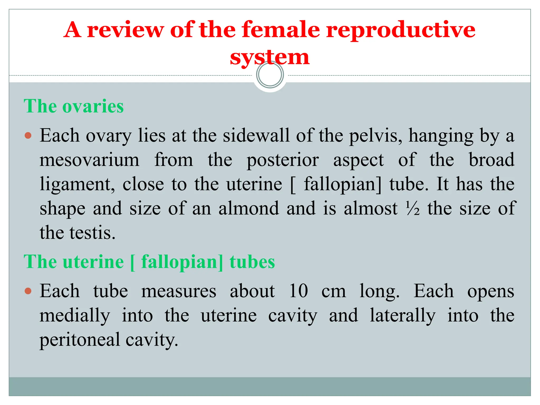 hormonal cycle and fetal circulation.pptx