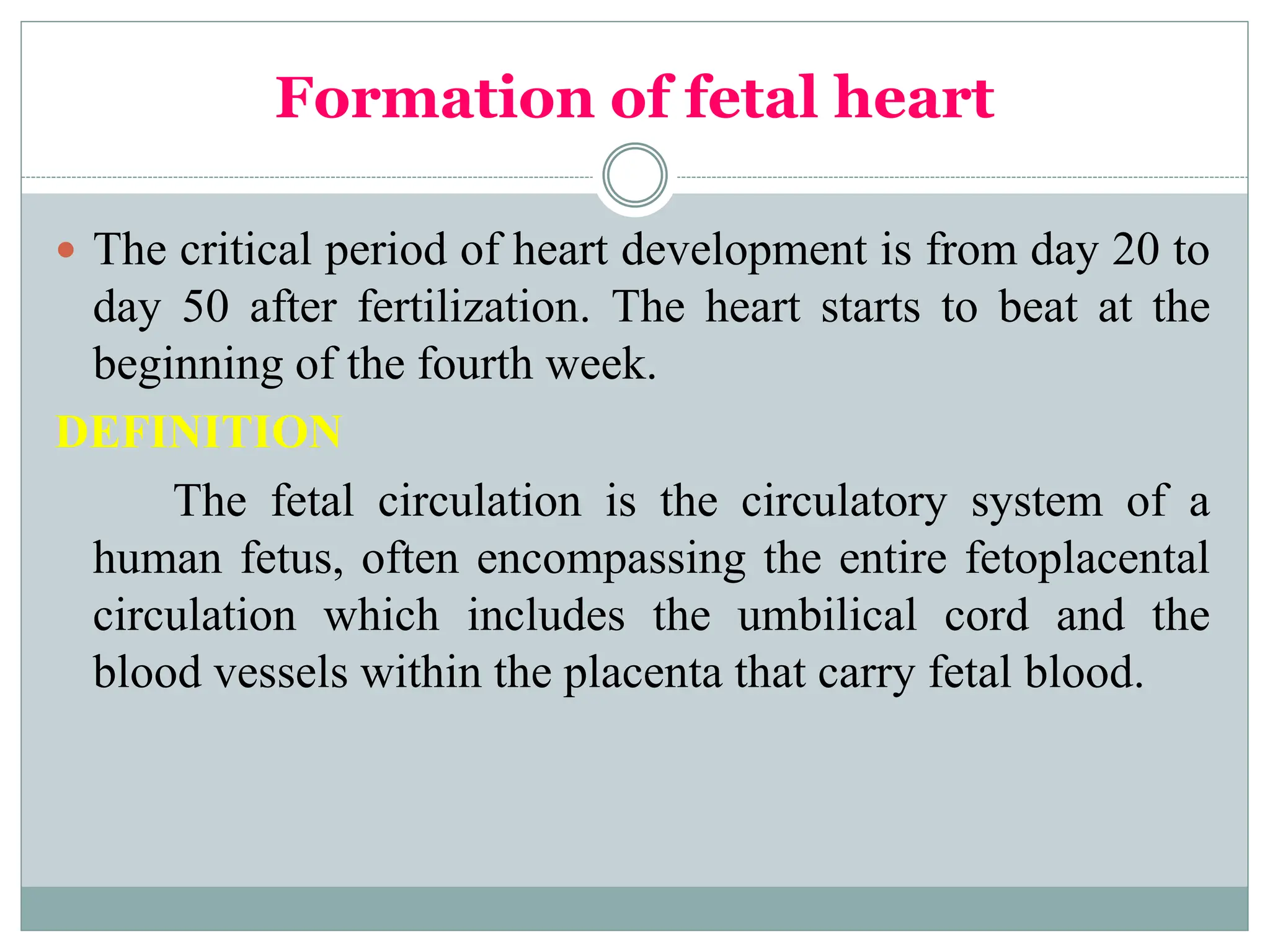 hormonal cycle and fetal circulation.pptx