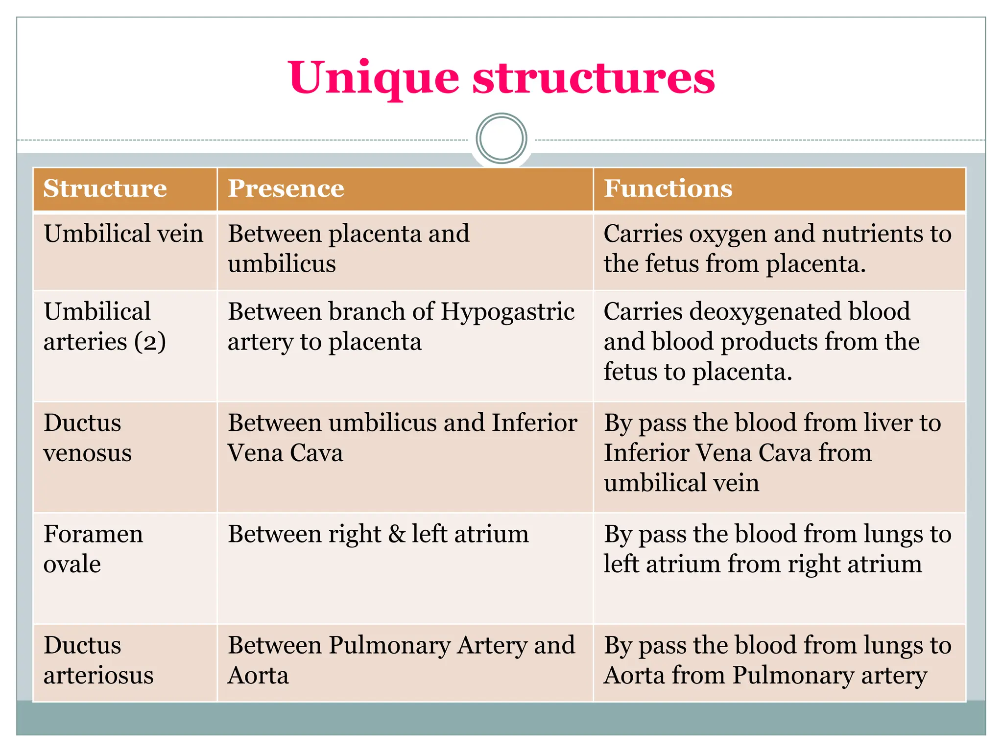 hormonal cycle and fetal circulation.pptx