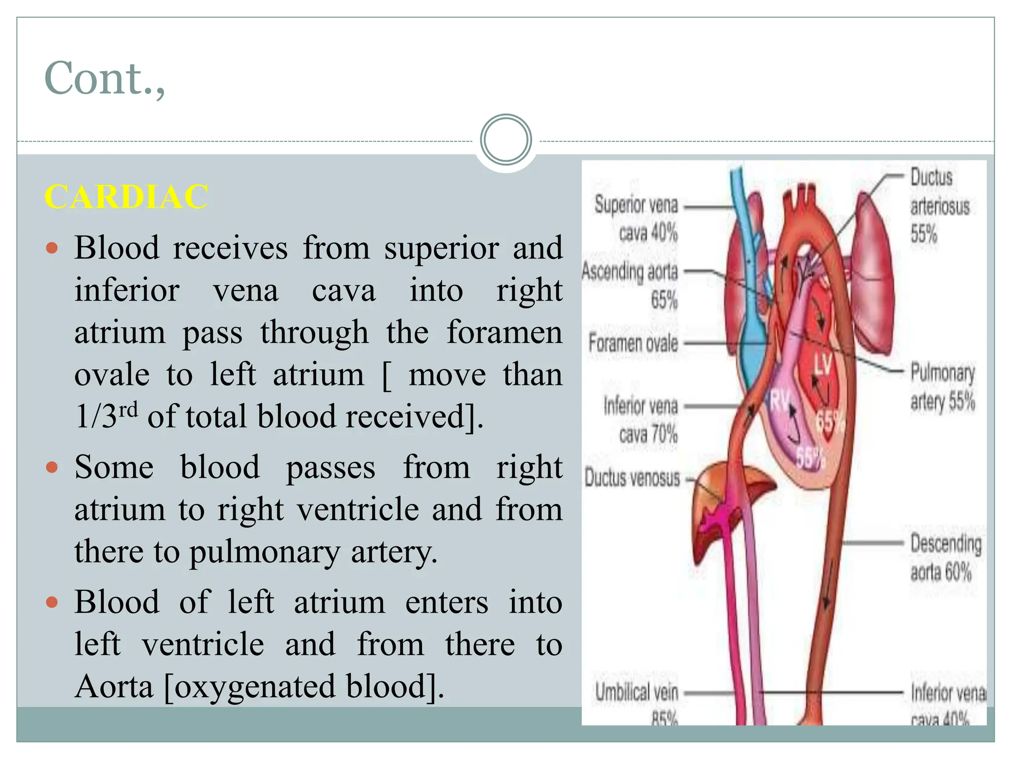 hormonal cycle and fetal circulation.pptx