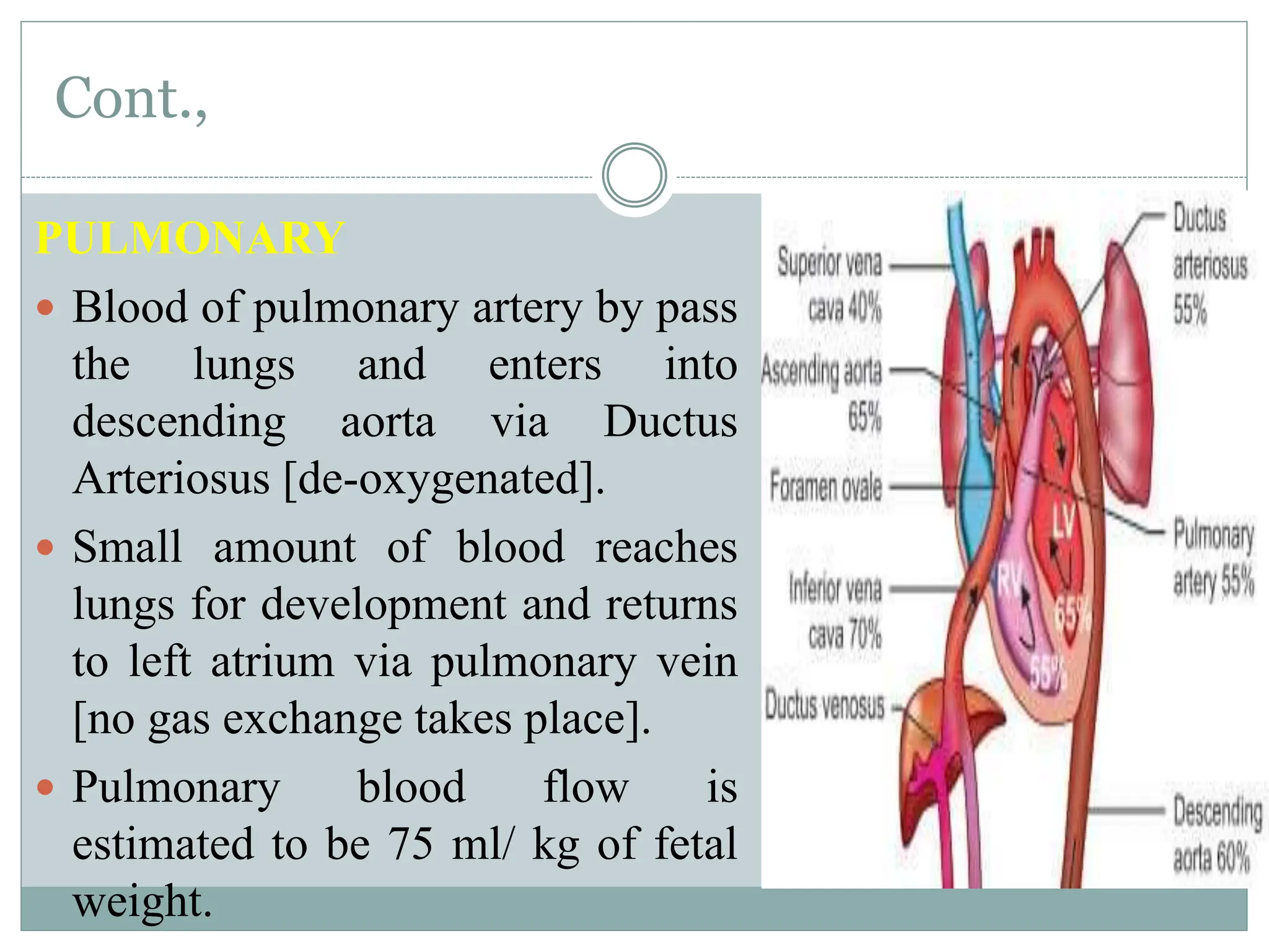 hormonal cycle and fetal circulation.pptx