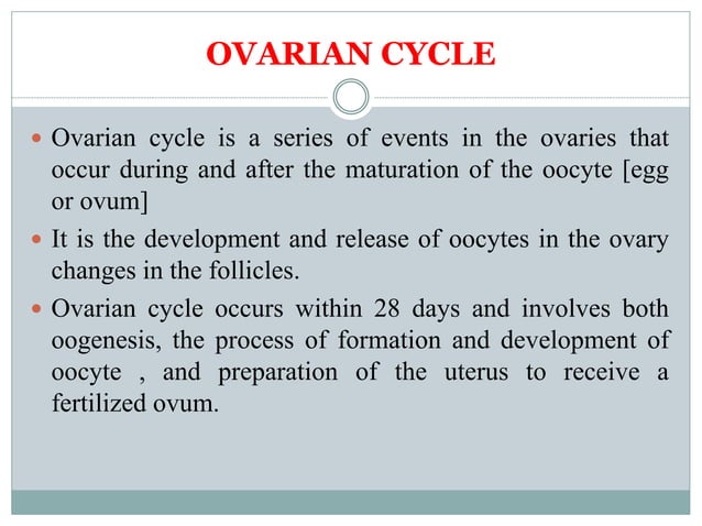 hormonal cycle and fetal circulation.pptx