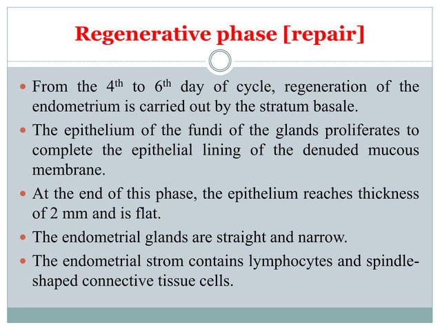 hormonal cycle and fetal circulation.pptx