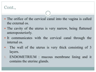 hormonal cycle and fetal circulation.pptx