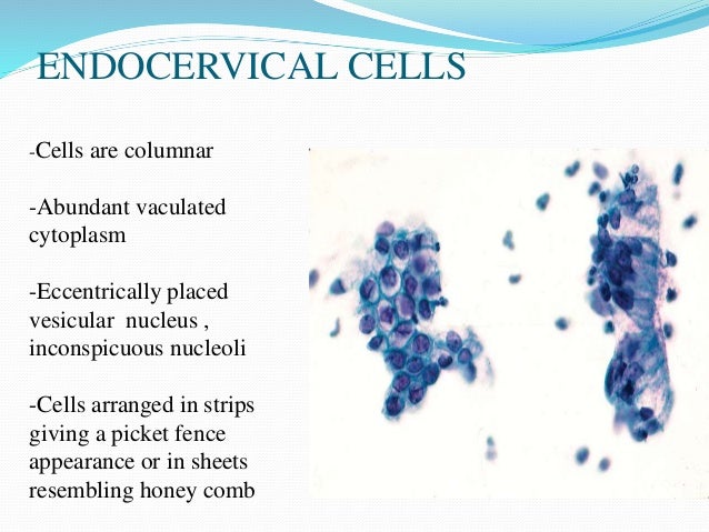 Hormonal cytology