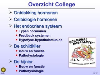 Hormonale Regulatie | PPT