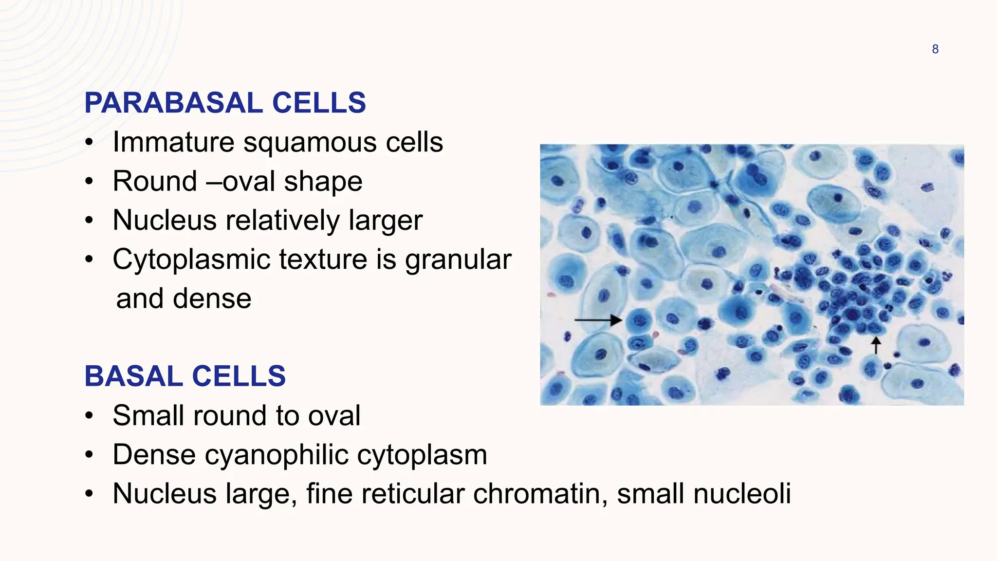 HORMONAL EVALUATION IN CERVICAL CYTOLOGY.pptx