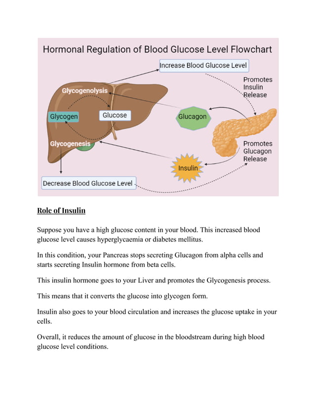 Hormonal regulation of blood glucose level_pdf.pdf