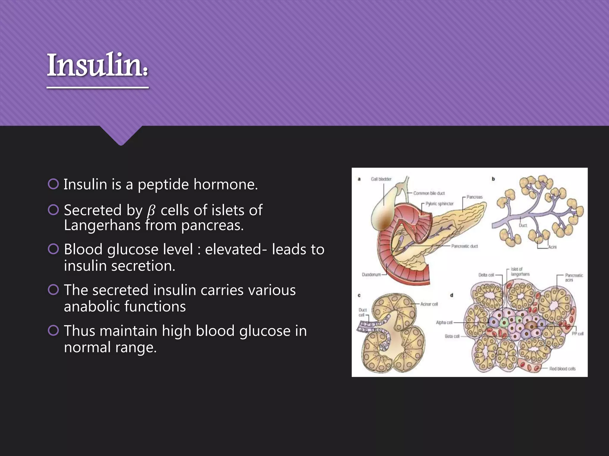 Hormonal regulation of carbohydrate metabolism | PPTX