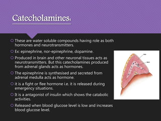 Hormonal regulation of carbohydrate metabolism | PPTX