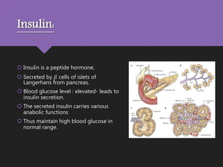 Hormonal regulation of carbohydrate metabolism | PPTX