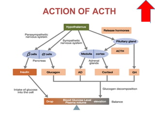 Hormonal regulation of Blood glucose (diabetes mellitus) | PPT