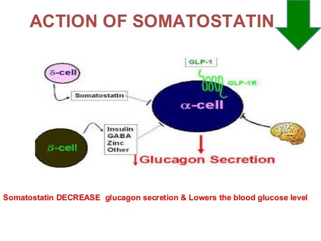 Hormonal regulation of Blood glucose (diabetes mellitus)