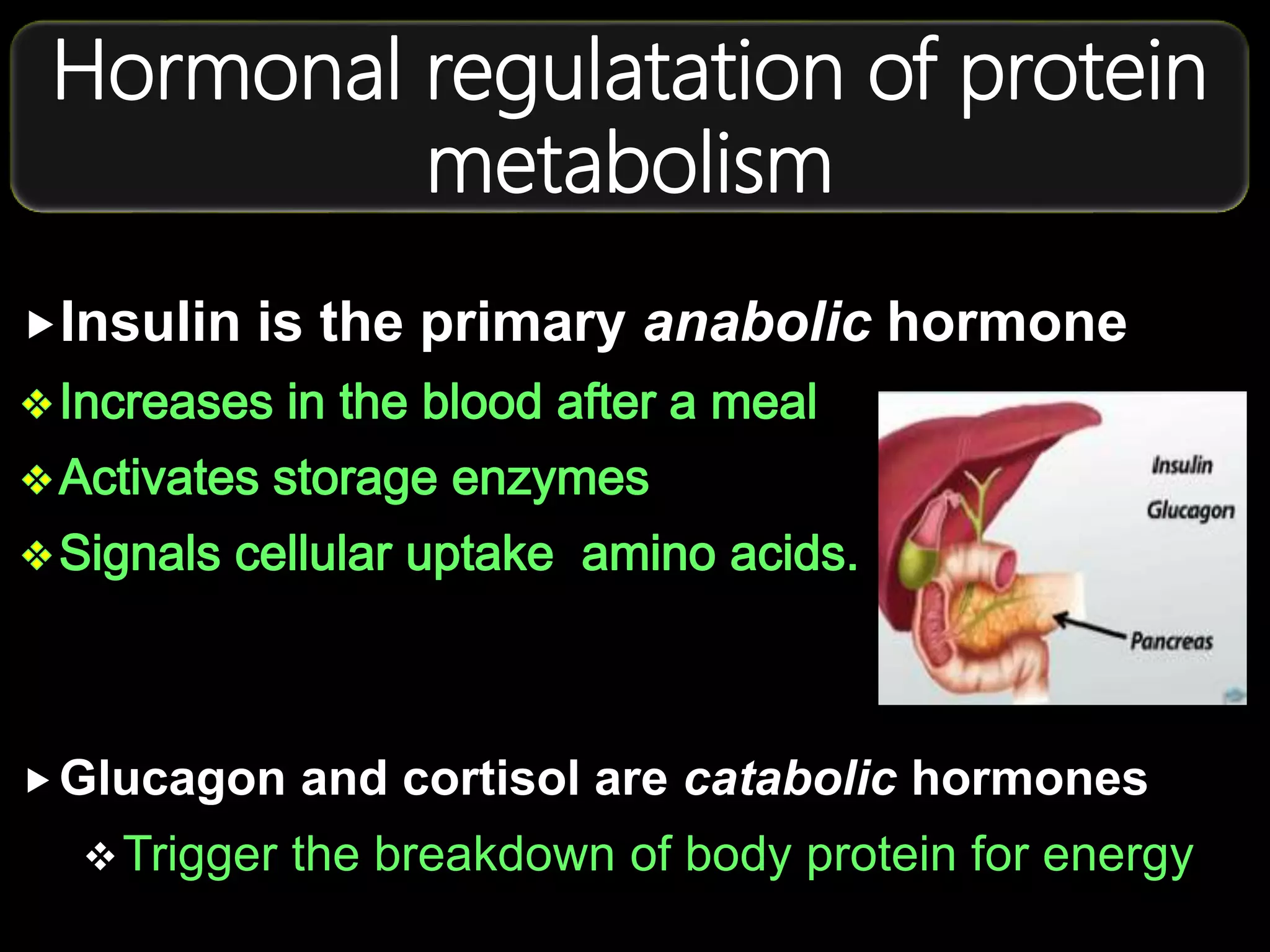 Hormonal regulation of proteins metabolism | PPTX