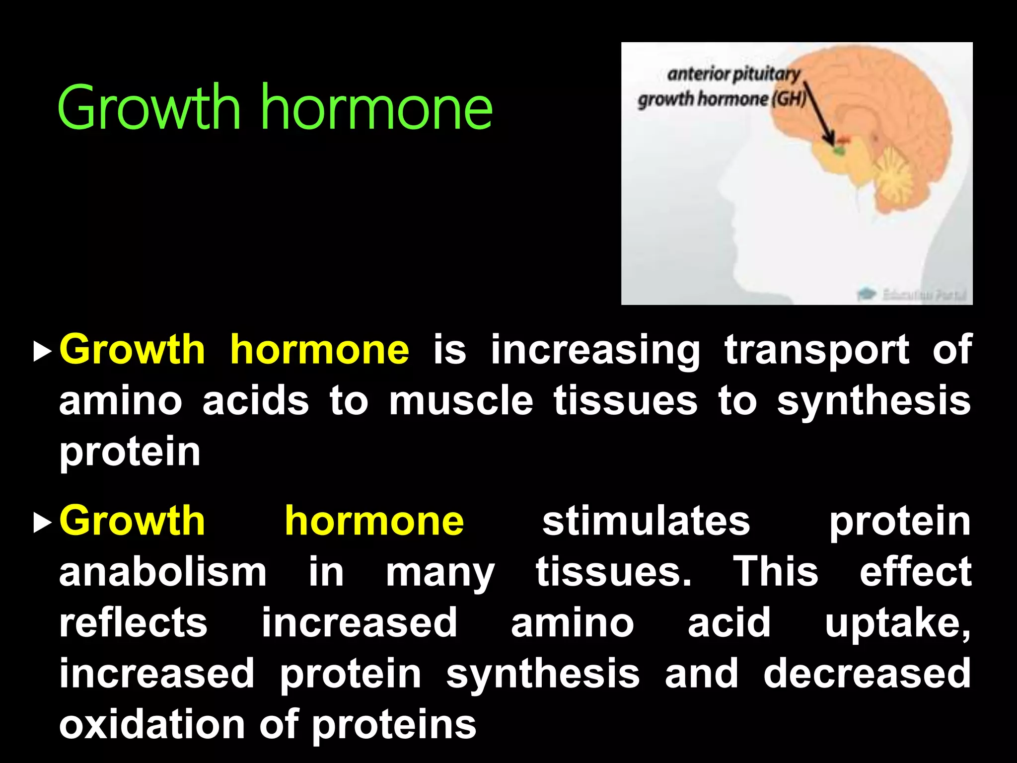Hormonal regulation of proteins metabolism | PPTX
