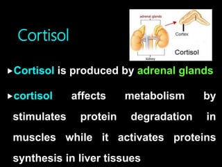 Hormonal regulation of proteins metabolism | PPTX