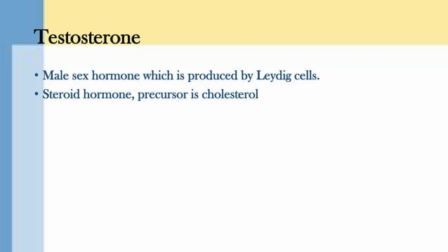 Hormonal Regulation of Male Reproduction I Testosterone I Reproductive ...