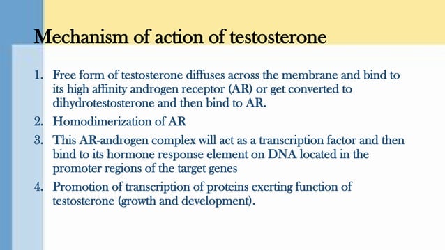 Hormonal Regulation of Male Reproduction I Testosterone I Reproductive ...