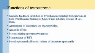 Hormonal Regulation of Male Reproduction I Testosterone I Reproductive ...