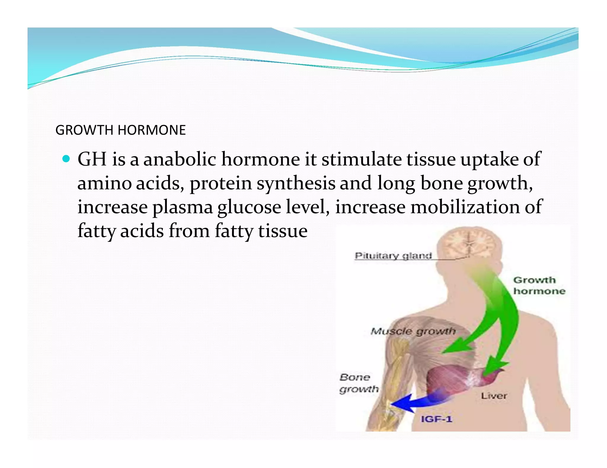 Hormonal responses to exercise | PDF