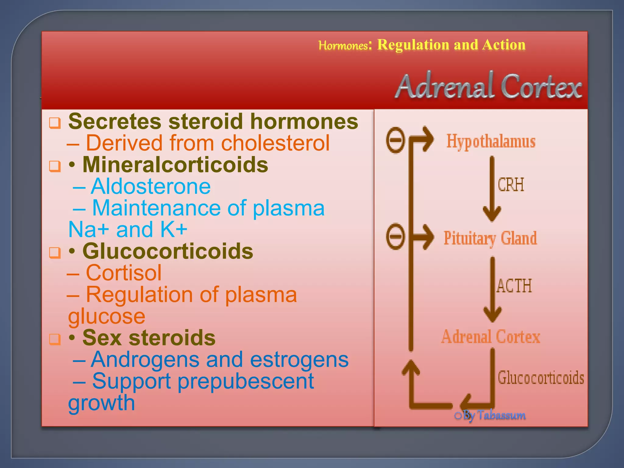 Hormonal response to exersize | PPTX