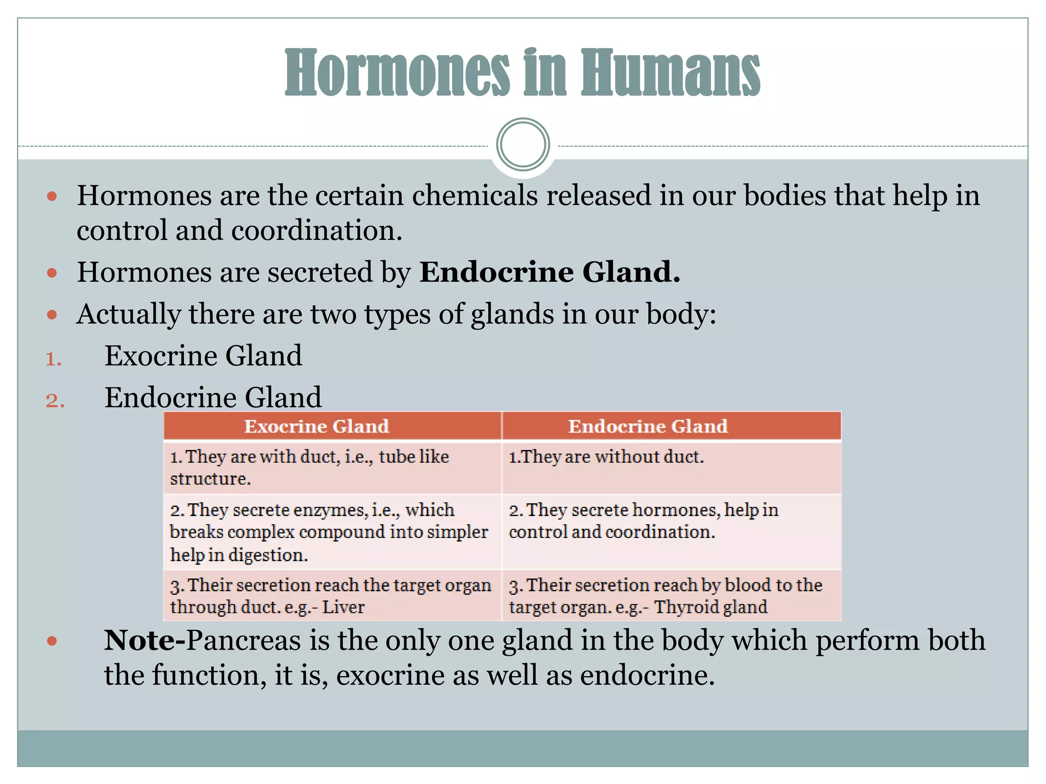 Hormonal system | PDF